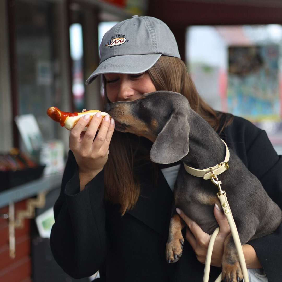 Explore with your dog – 10 Dog friendly restaurants in the UK – Collar ...