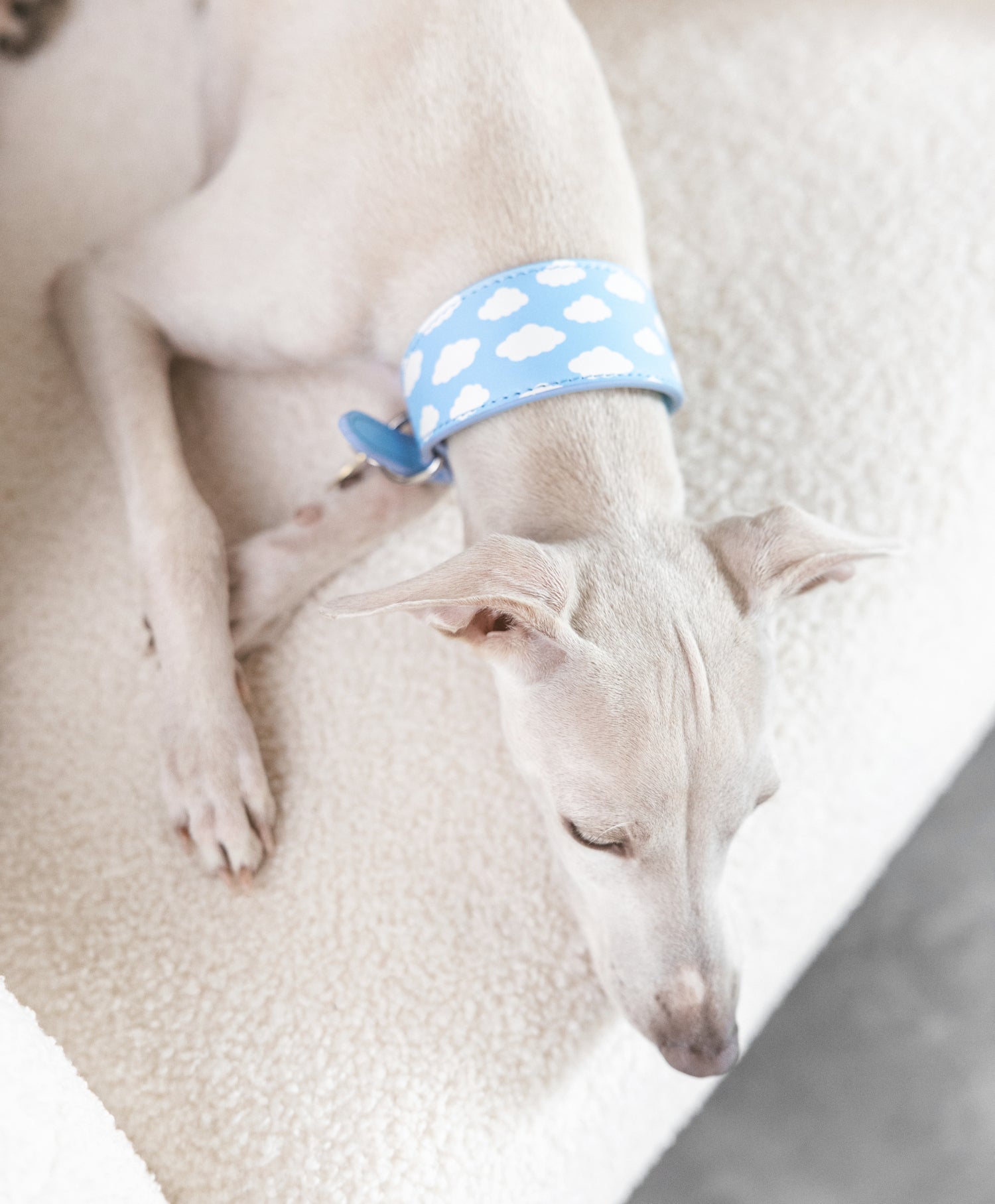 Spring Collection – Collar of Sweden