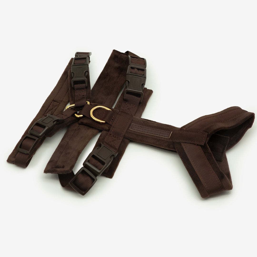 Dog Harness – Y-Shaped, Adjustable & Comfy for Small Dogs – Collar of ...