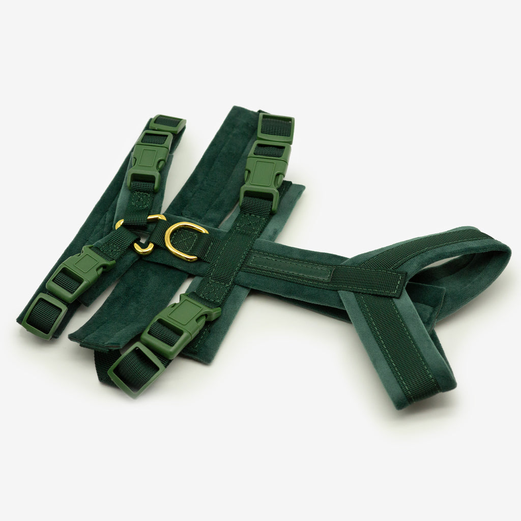 Dog Harnesses – Collar of Sweden